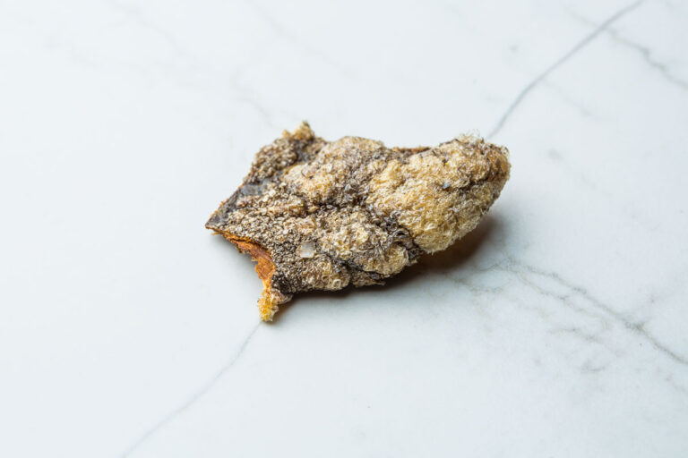 Reasons to be dazzled by tuna skin - Fuentes