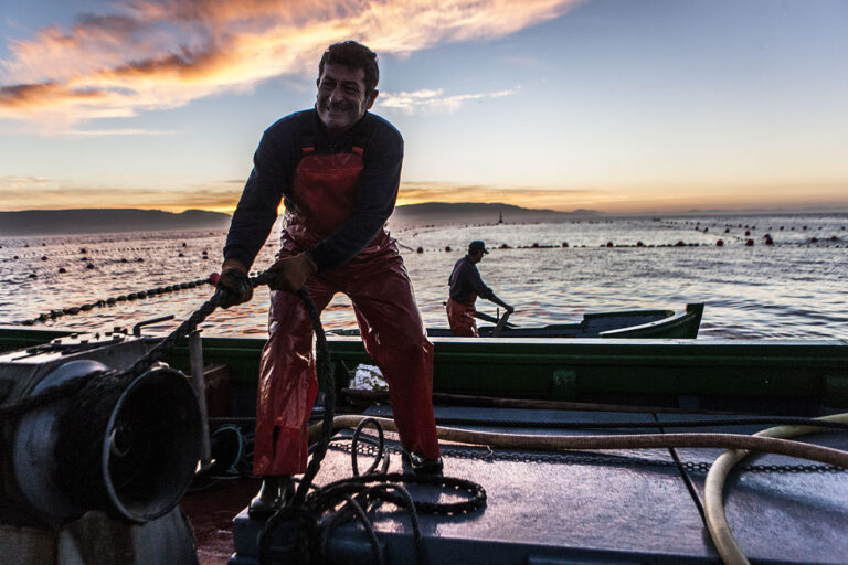 La almadraba con ojos de japonés - Fuentes