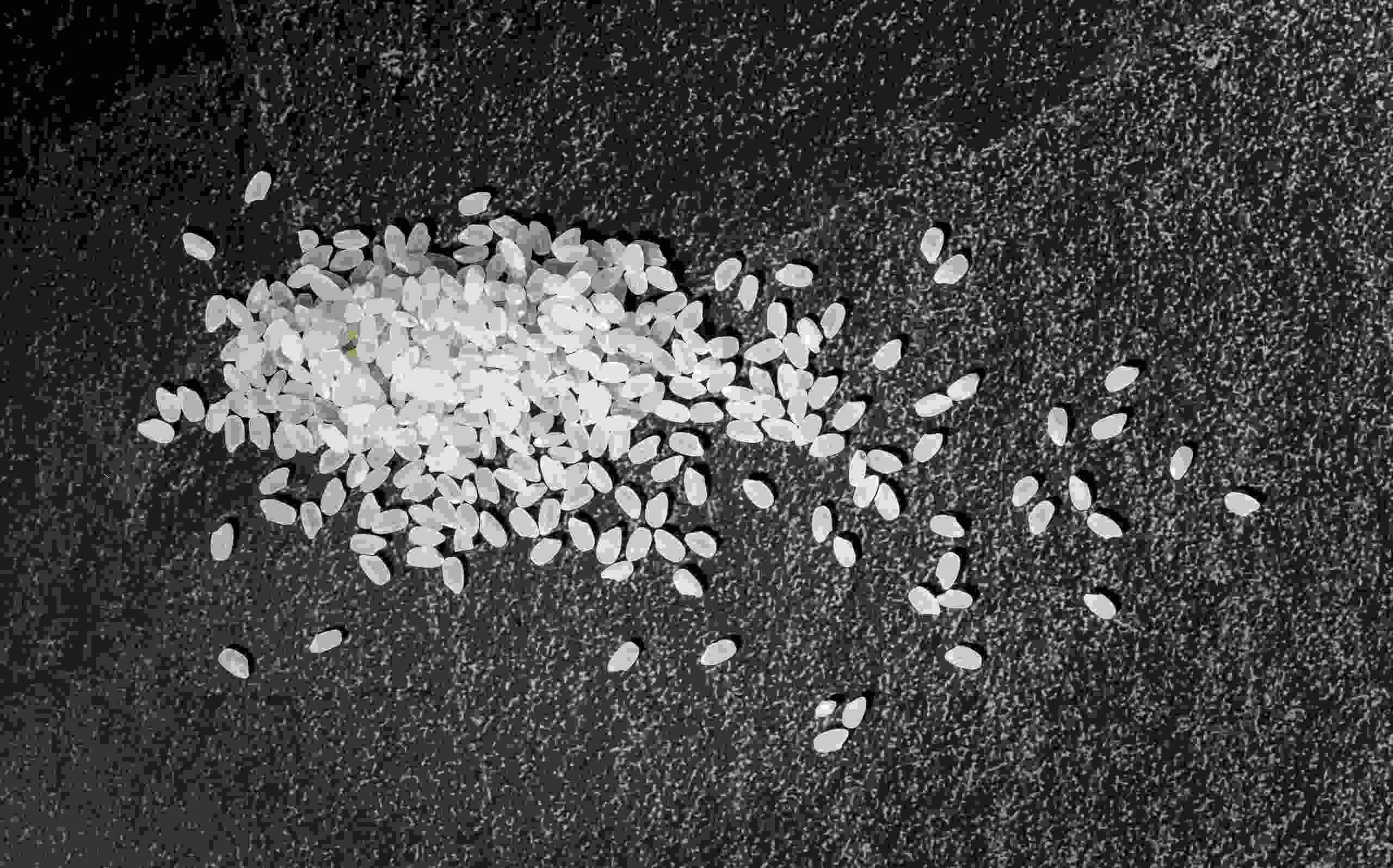 Koshihikari: why this rice for this bluefin tuna - Fuentes