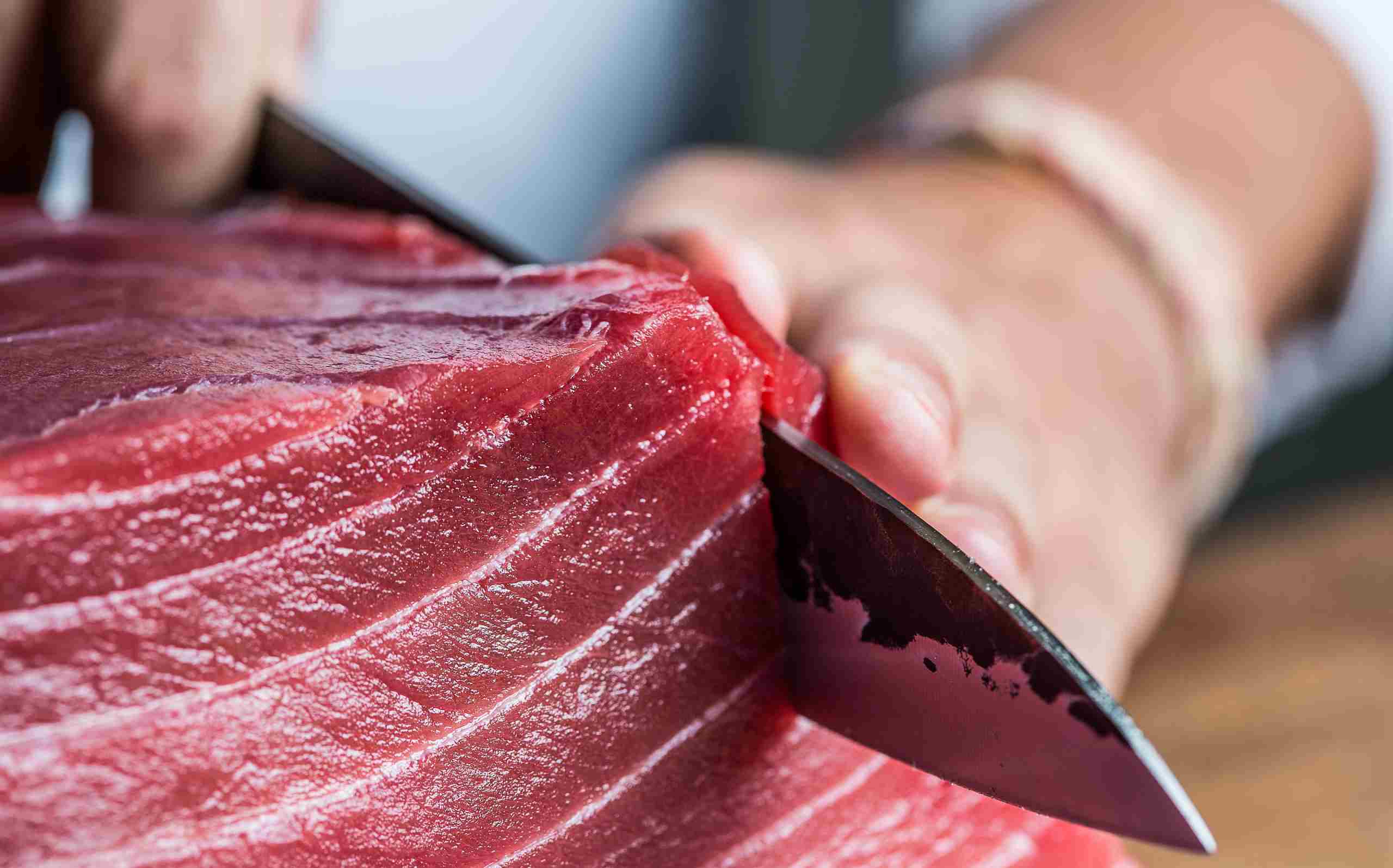 How to cut bluefin tuna: everything you need to know - Fuentes
