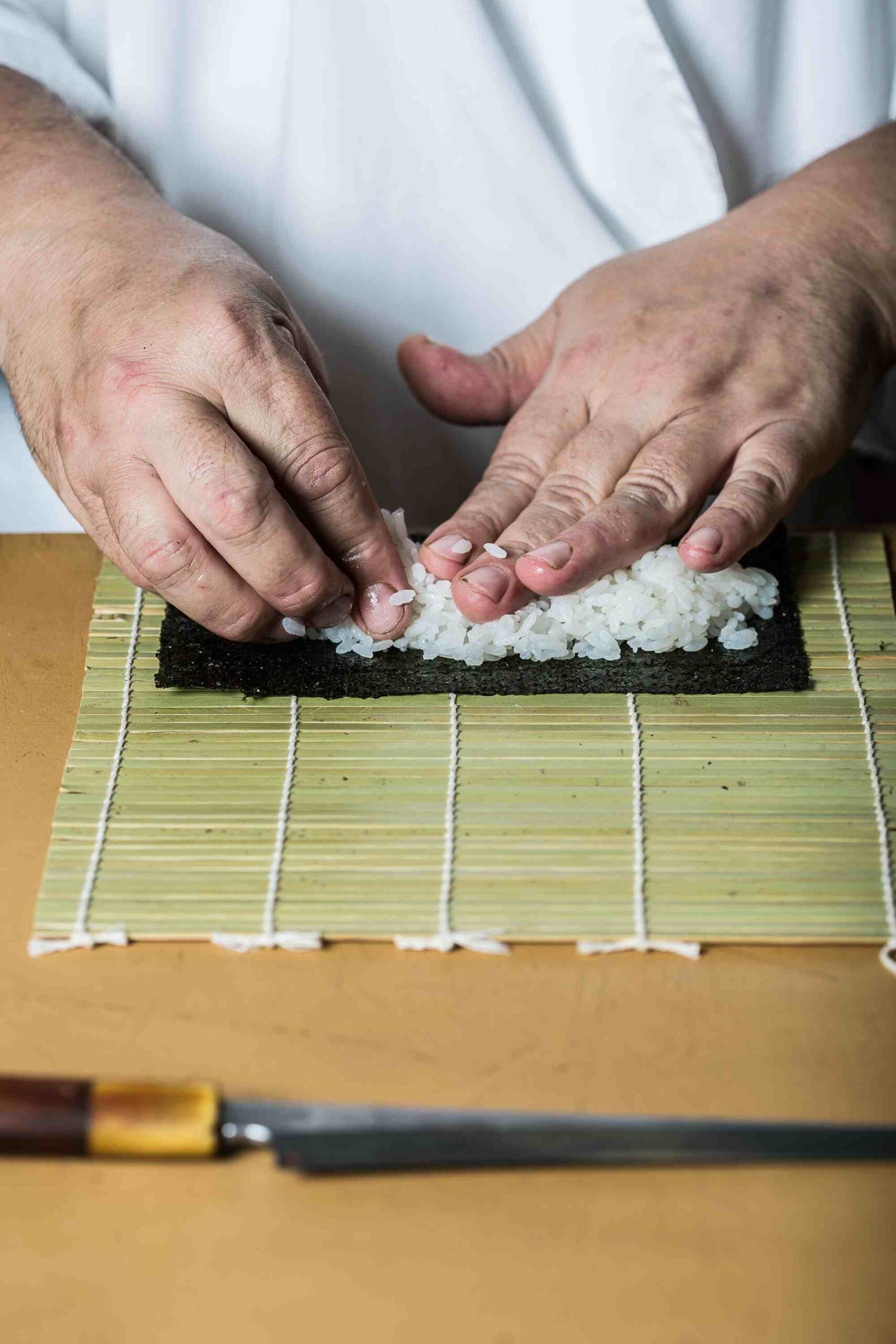 Todo lo que has de saber sobre los maki - Fuentes